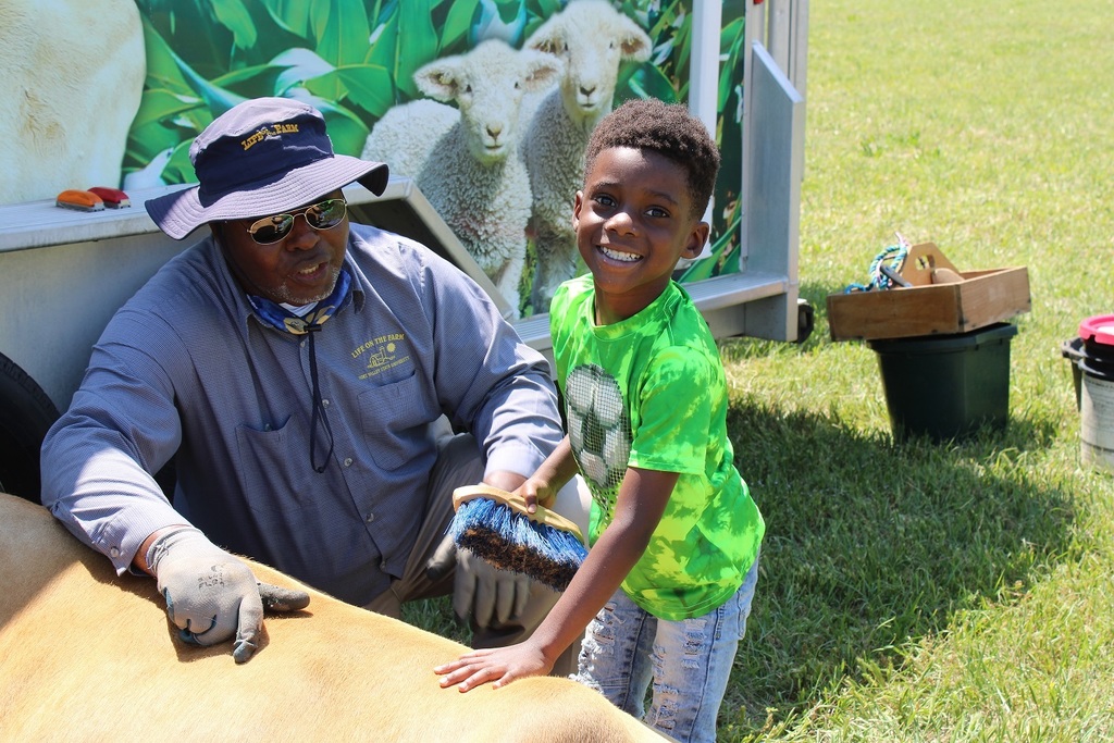 Live Feed | Samuel E. Hubbard Elementary School